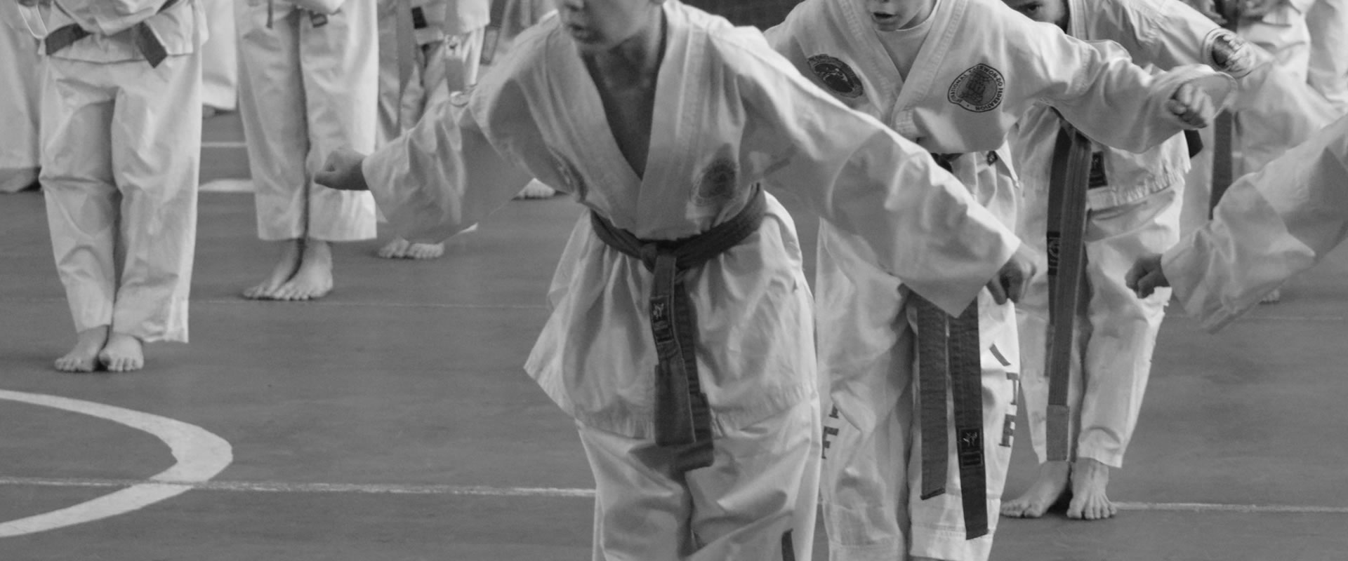 Instituto Pyong-Ahn de Taekwon-Do